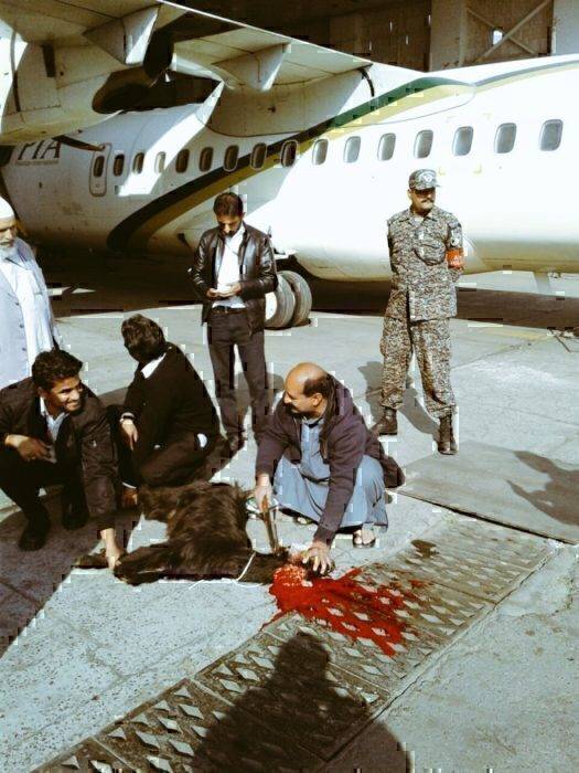 Pakistan International Airlines Fires More Staff Over Fake Qualifications