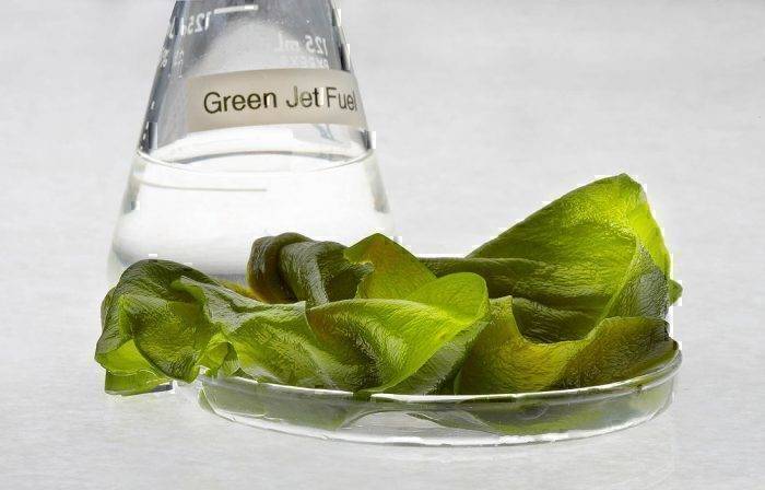 What On Earth Is Sustainable Jet Fuel? Can It Save Our Planet?