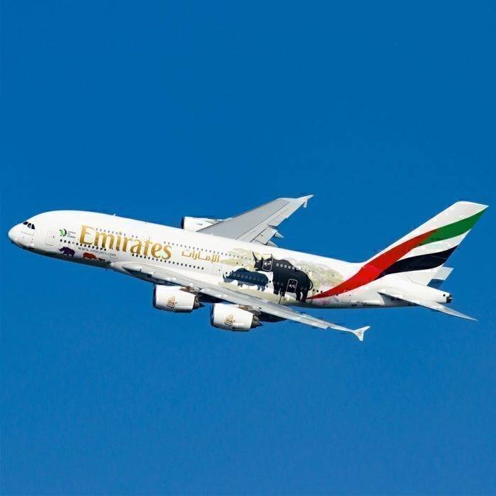 Only 3% Of Emirates' Workforce Is Emirati