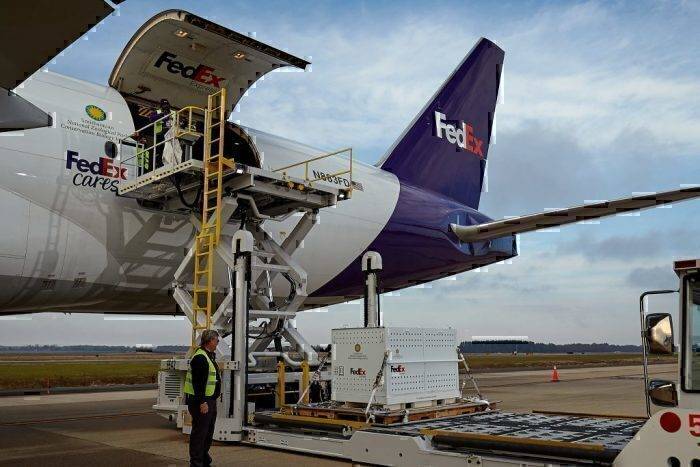 fedex panda express plane