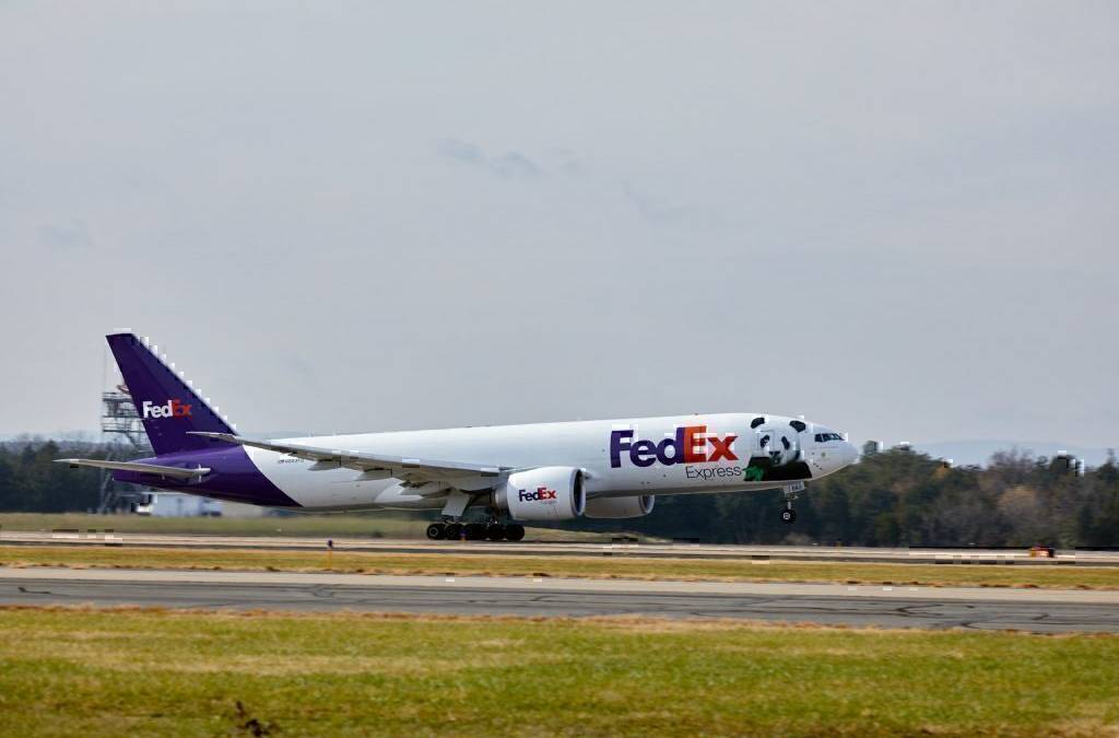 FedEx Flies Panda On 16 Hour Direct Flight From The US To China