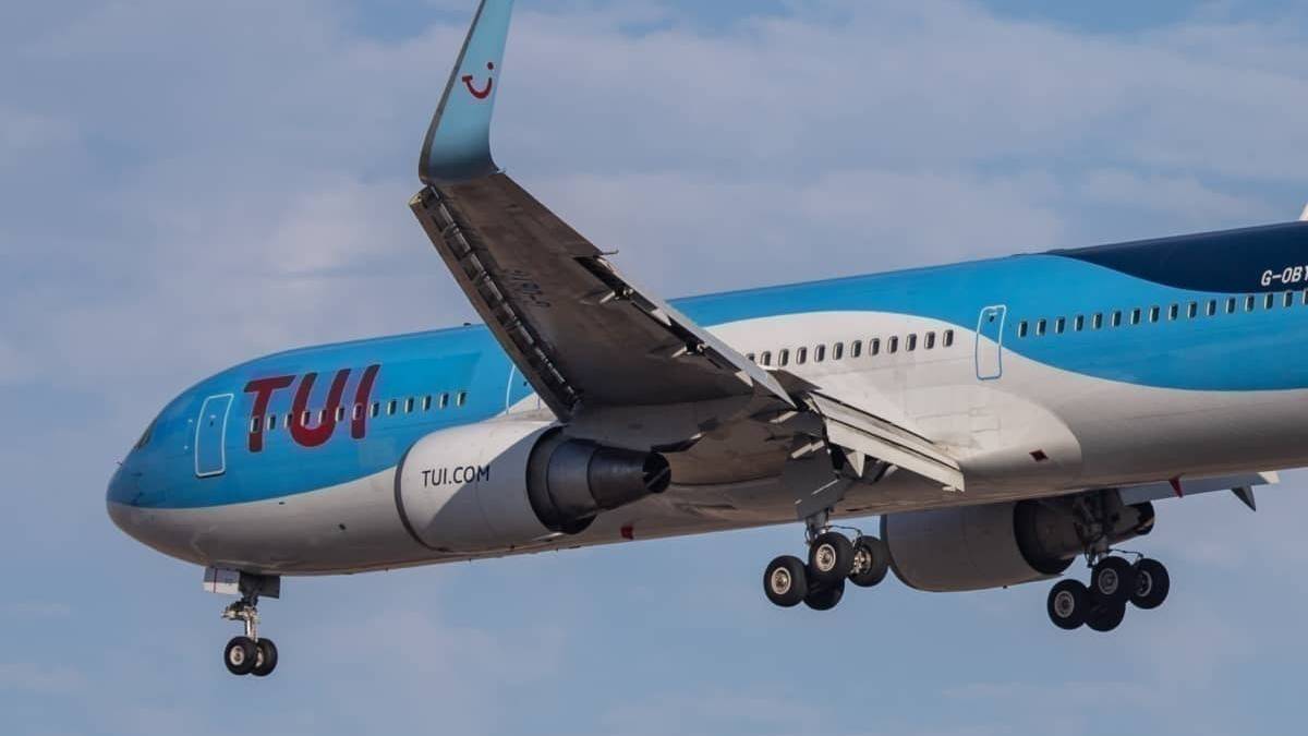 What Are Flaps And Why Are They Important?