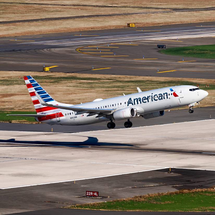 Which Airlines Operated The Most Boeing 737s?