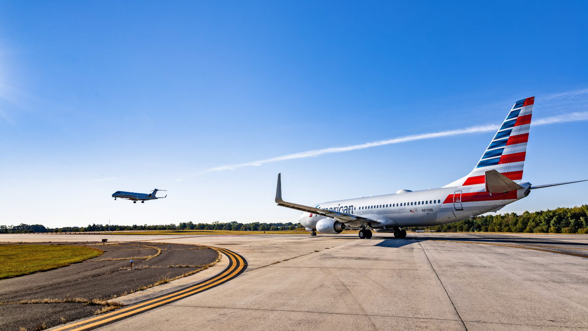 Cute: Kangaroo Flies Aboard American Airlines Flight Out Of Charlotte