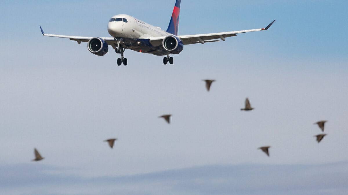 What New Airbus A220 Operators Can We Expect To See This Decade?