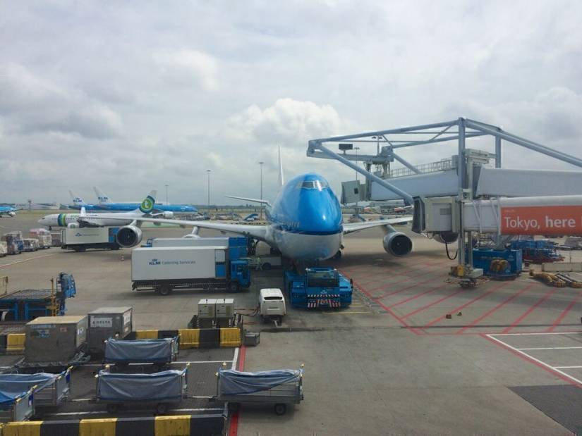How Amsterdam Schipol Reduced Toilet Cleaning Costs By 8% With Fake ...