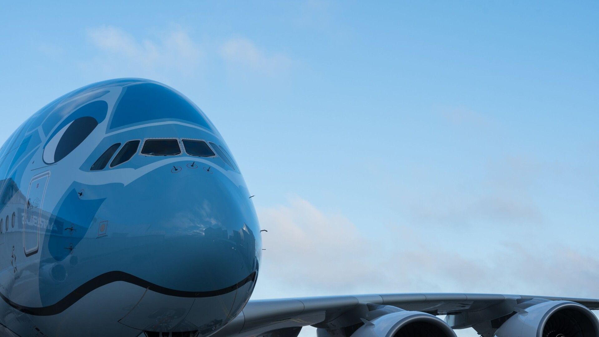 What's Inside The ANA Flying Honu Airbus A380s?