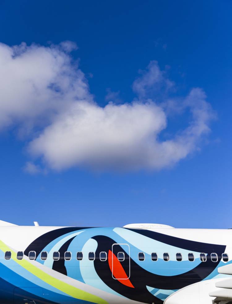 Alaska Airlines Reveals Another Special Livery