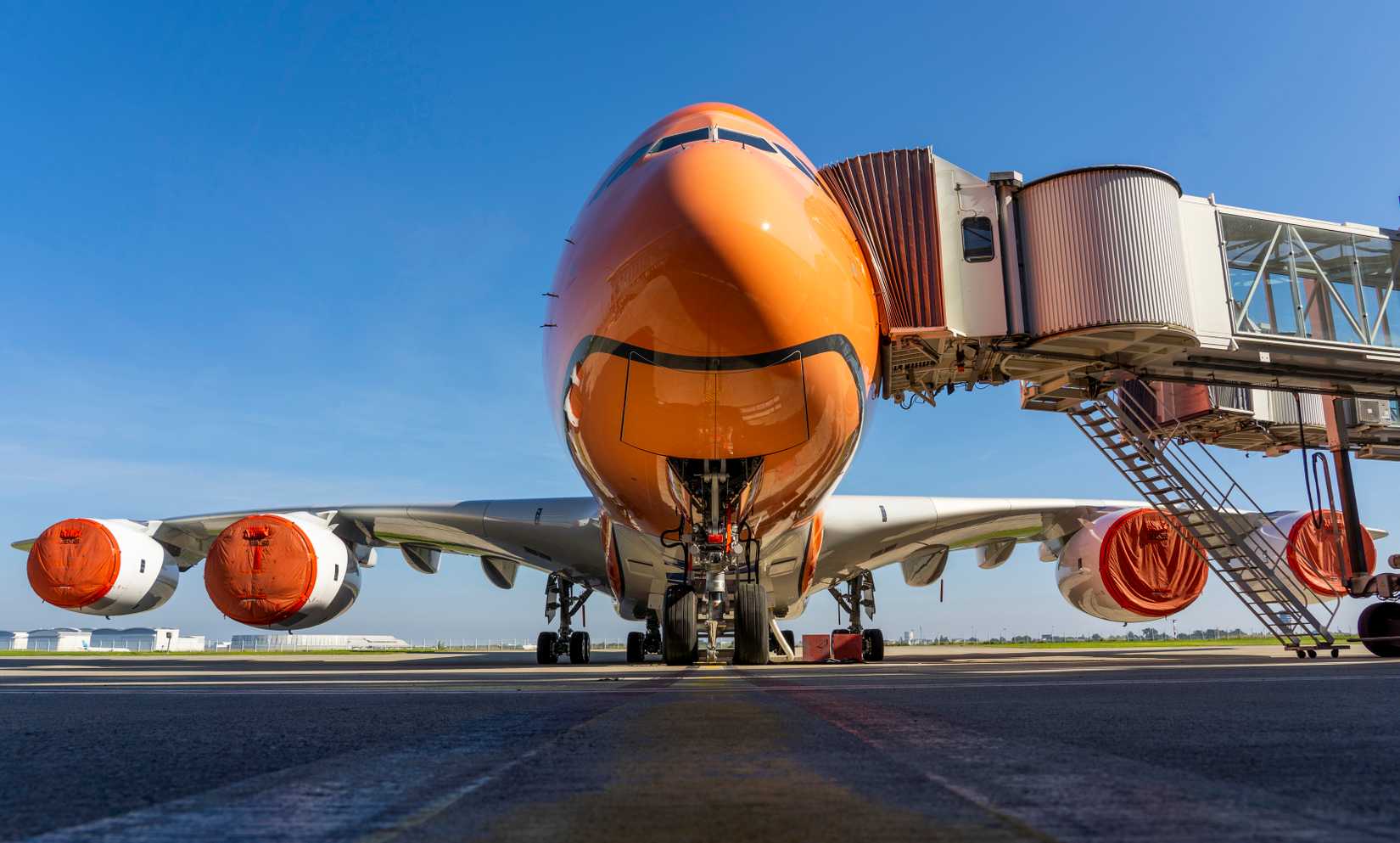 What's Inside The ANA Flying Honu Airbus A380s?