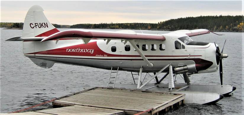 Which Aircraft Did De Havilland Canada Name After Animals?