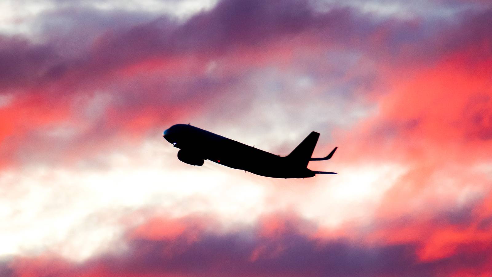 India’s Newest Cargo Airline Pradhaan Air Express Begins A320 P2F ...