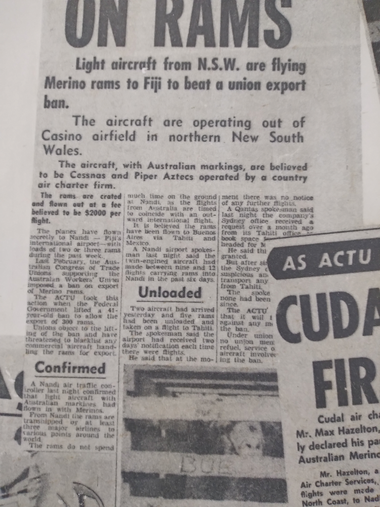 Sheepish Tales & True: Smuggling Rams To South America In A Light Plane