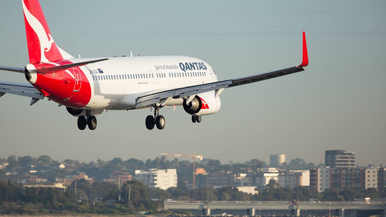 Qantas Boeing 737 Makes Emergency Diversion After Bird Strike