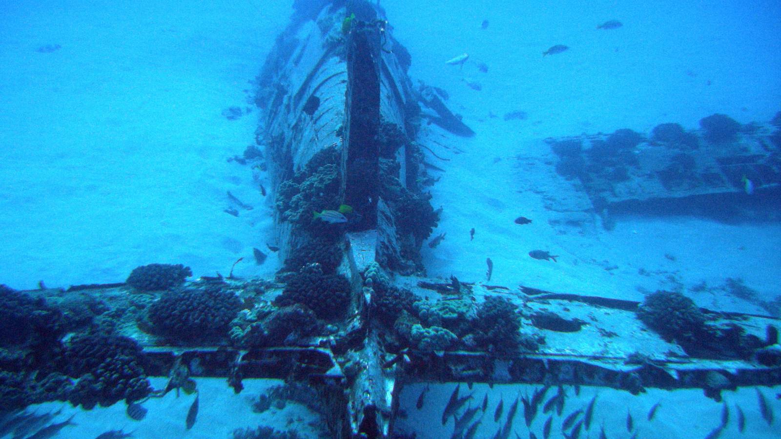 The Plane Crash Sites That Have Become Scuba Diving Hotspots