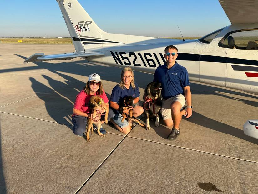 Pilots N Paws: Rescuing Animals One Flight At A Time