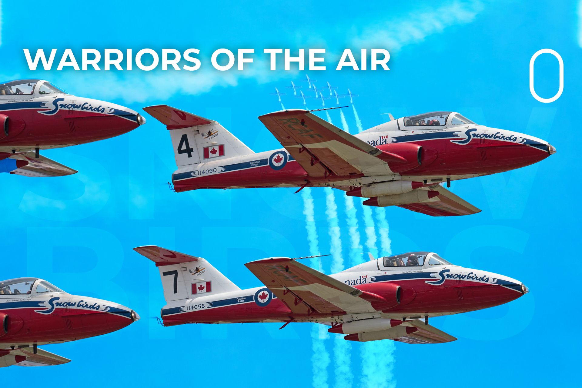 The Story Of Canada's Snowbird Display Team