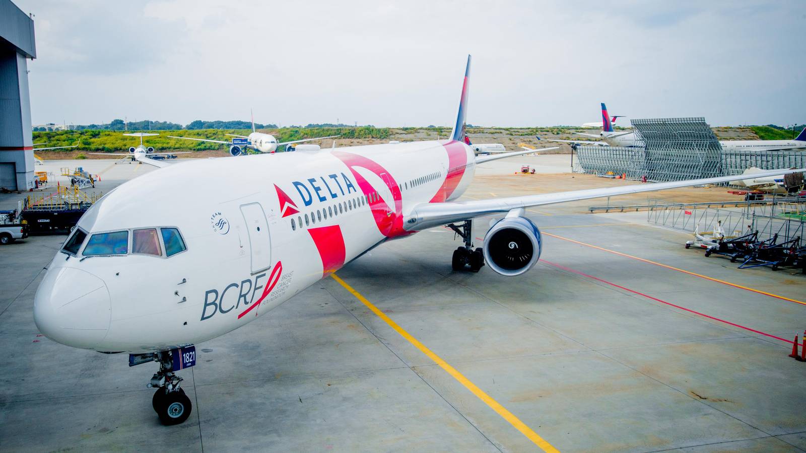 Here's Where Delta Air Lines Flies Its Boeing 767 Pink Plane