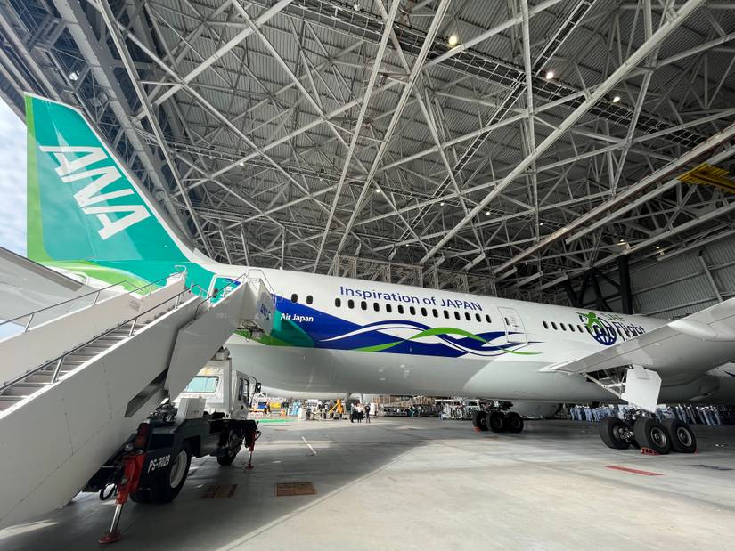 Shark Skin Technology, Vegan Leather: Meet ANA's Green Jet Boeing 787 ...