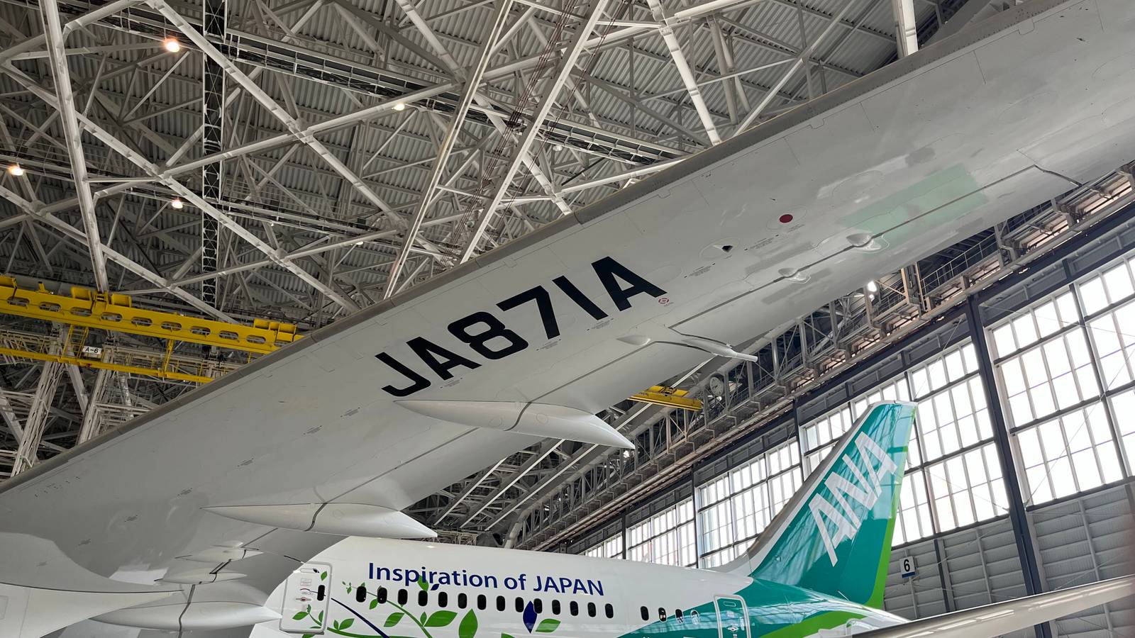 Shark Skin Technology, Vegan Leather: Meet ANA's Green Jet Boeing 787 ...