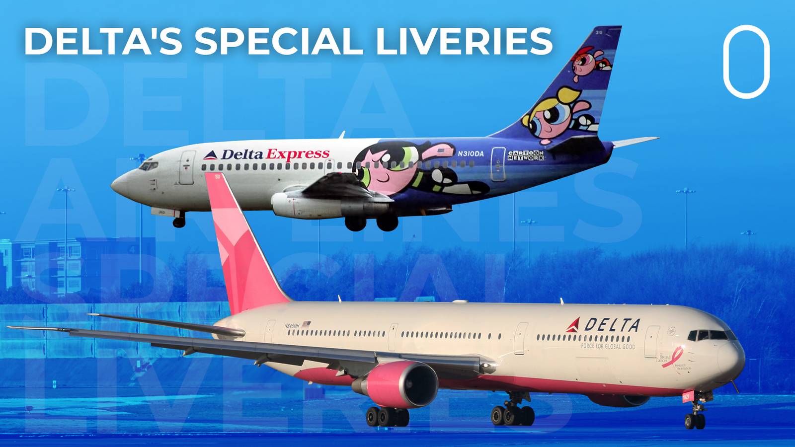 What Special Liveries Has Delta Air Lines Painted Its Aircraft In?