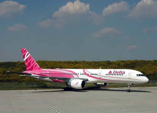 What Special Liveries Has Delta Air Lines Painted Its Aircraft In?