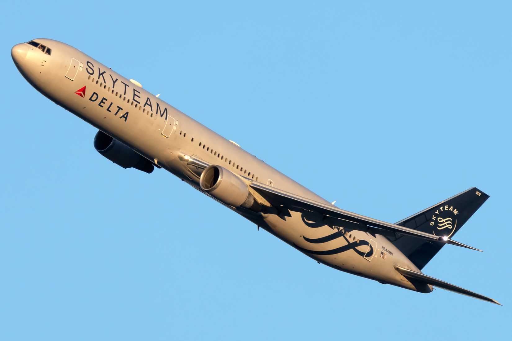 A Complete Guide To Elite Status In The SkyTeam Alliance