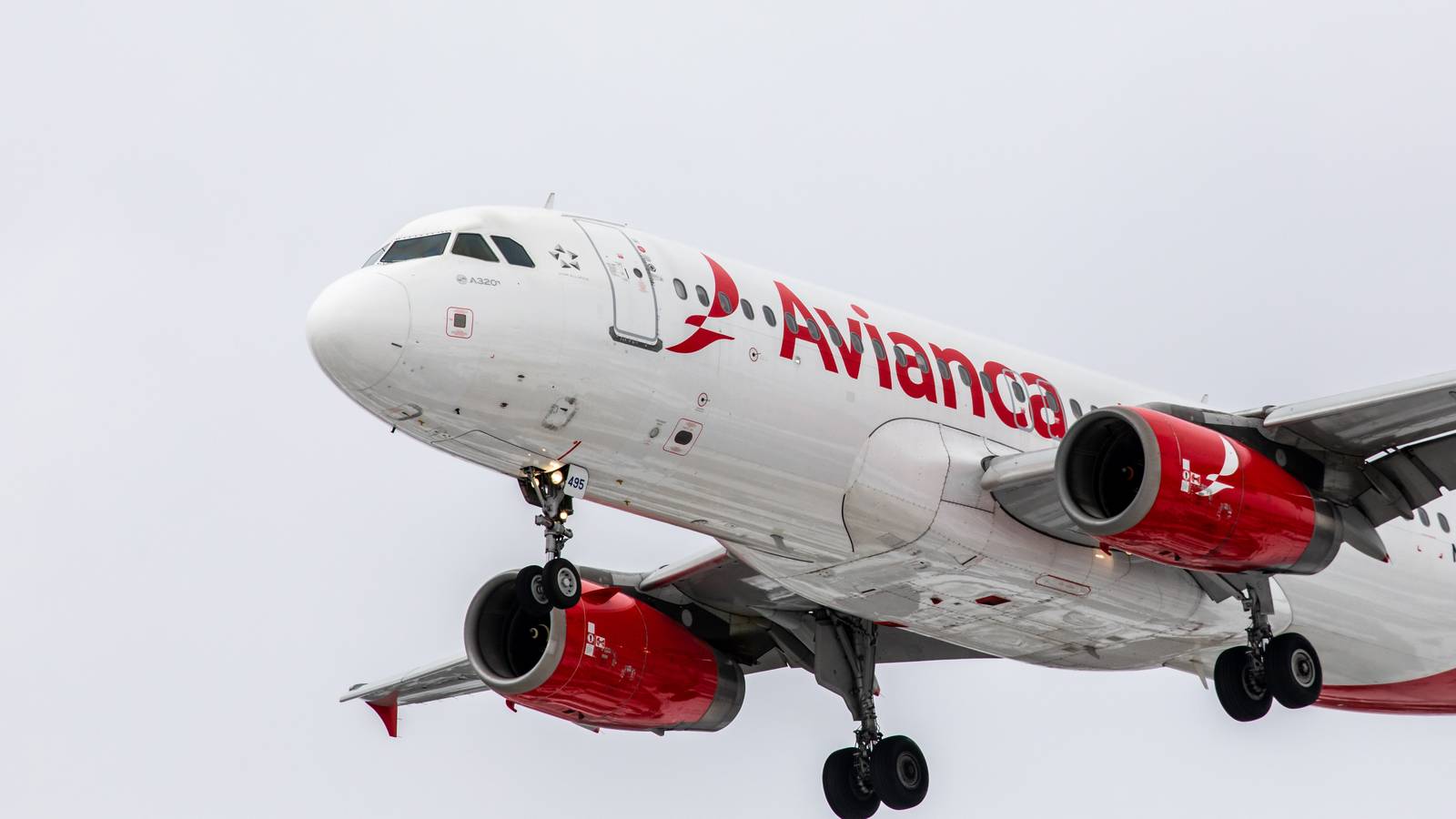 Avianca Announces 3 New International Routes Between Colombia And Ecuador