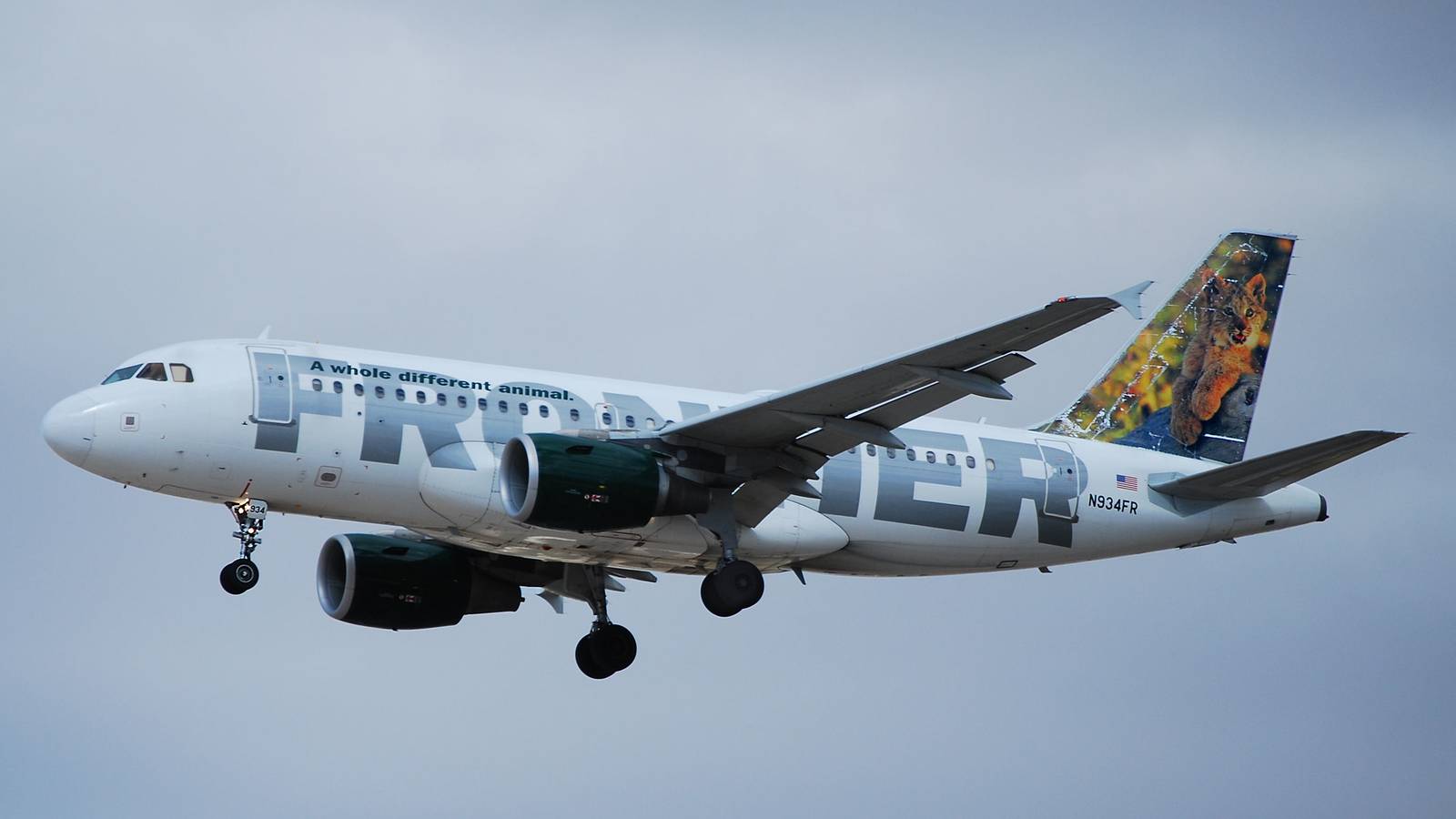 Curious Cracks: When 14 Planes Suffered Windshield Damage In One ...