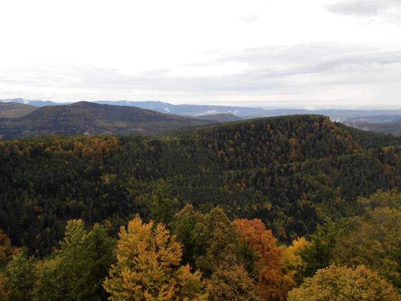 Air Inter Flight 148: The Story Of The Airbus A320's Third Hull Loss