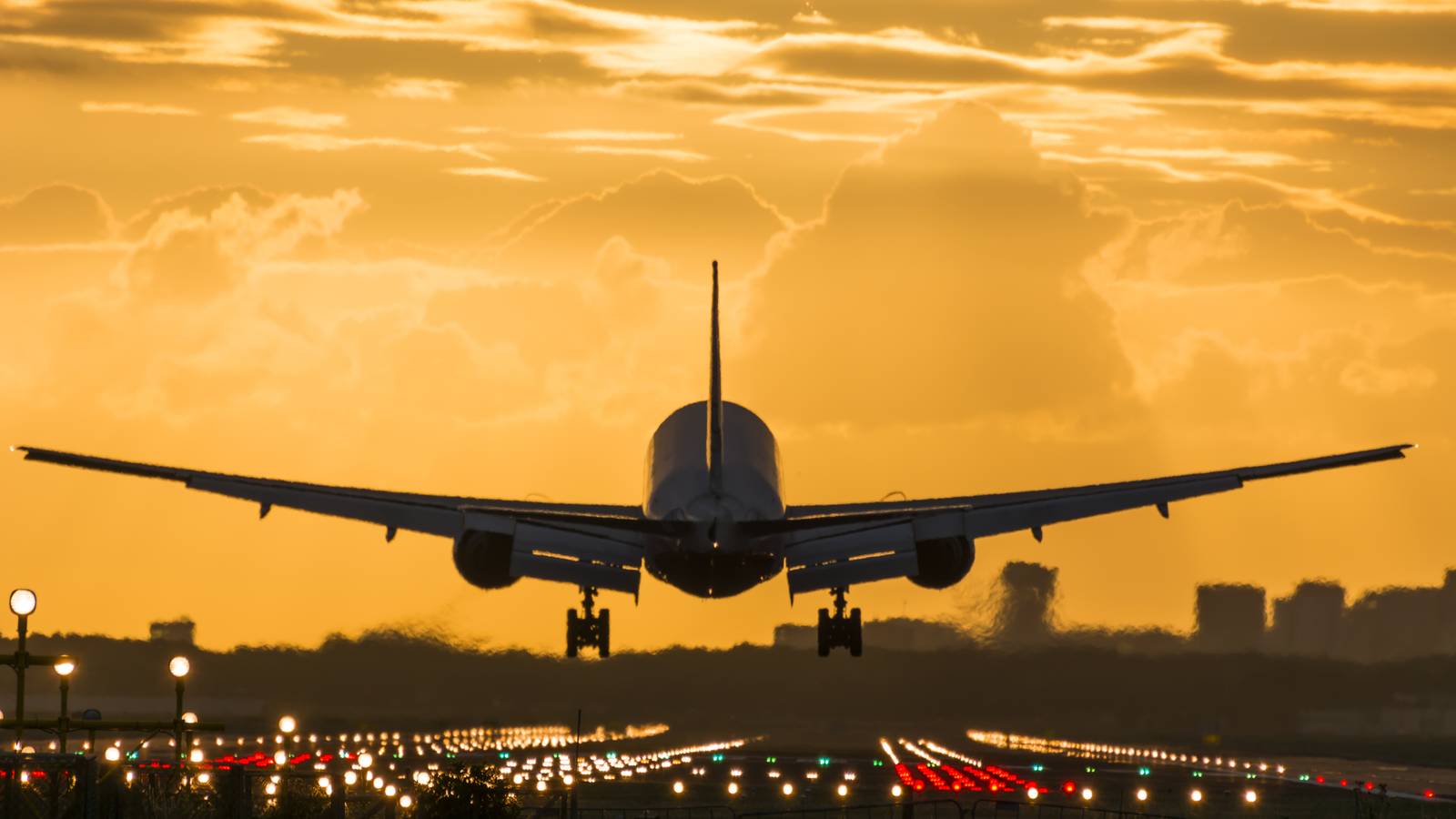 Staying Loyal: Can Frequent Flyer Points Expire?