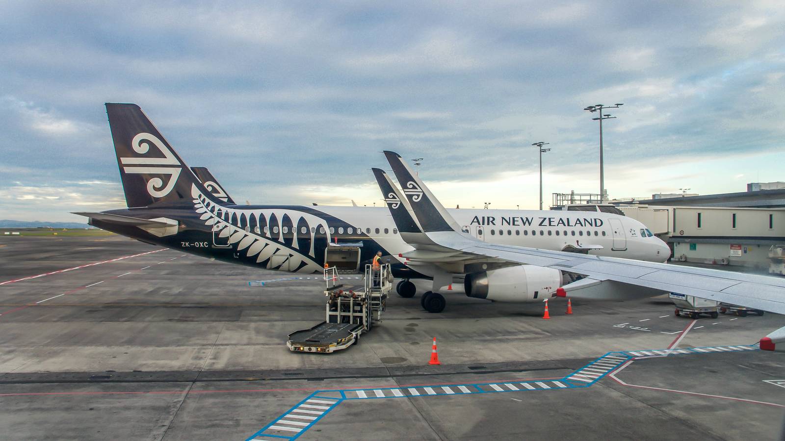 Passengers Face Long Lines At Auckland Airport After Passport Control ...