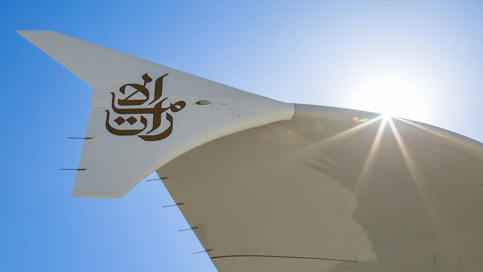 What Are Those Metal Rods On The Aircraft Wing?