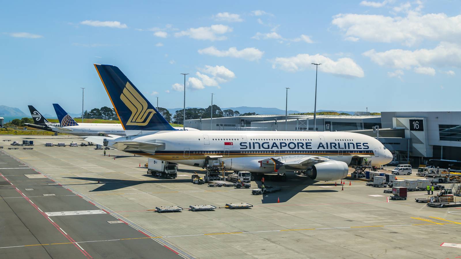 The Five Singapore Airlines Aircraft Types With The Largest Business ...