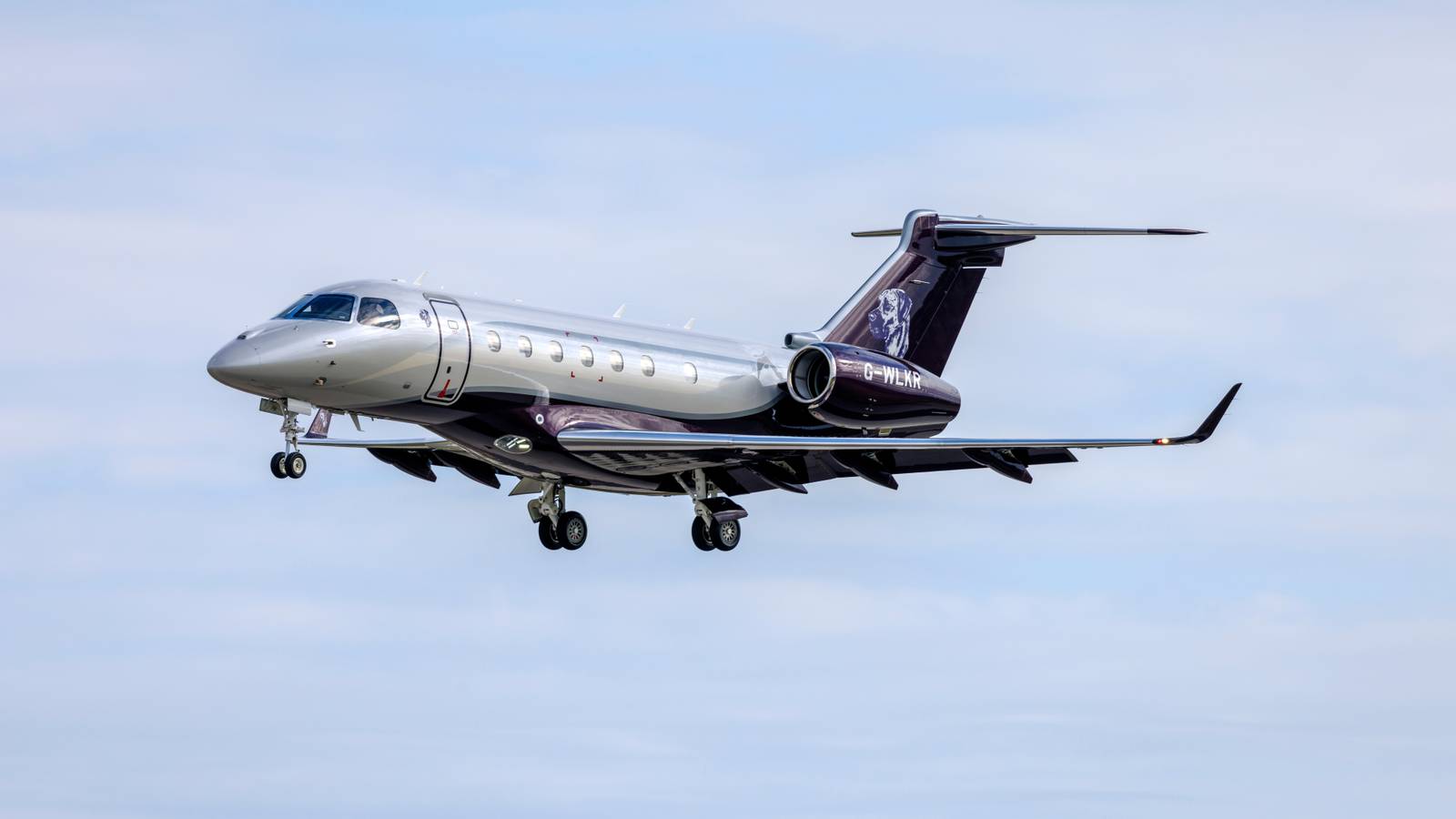 Which Variants Make Up The Embraer Legacy Private Jet Series?