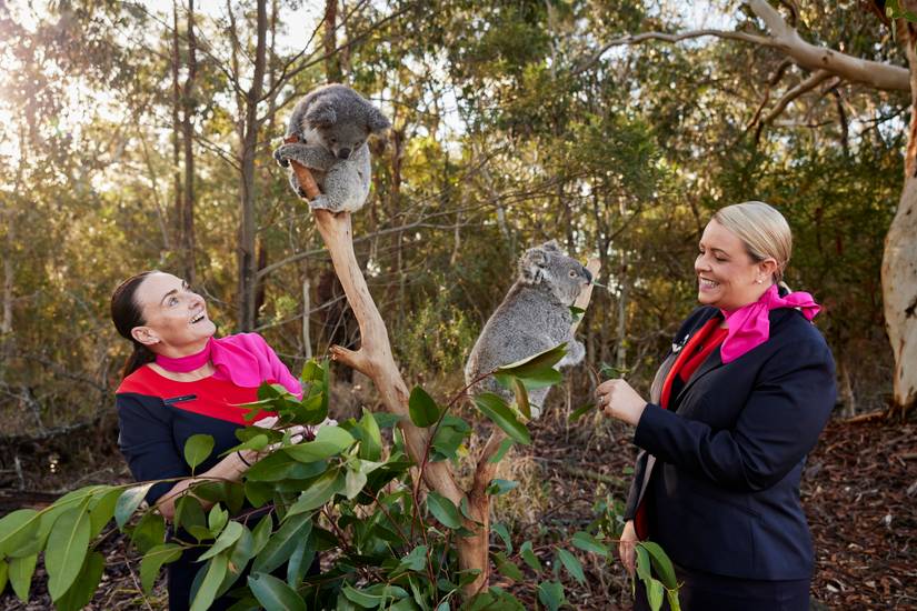 Qantas Gives $2 Million In Grants To Boost Regional Australia