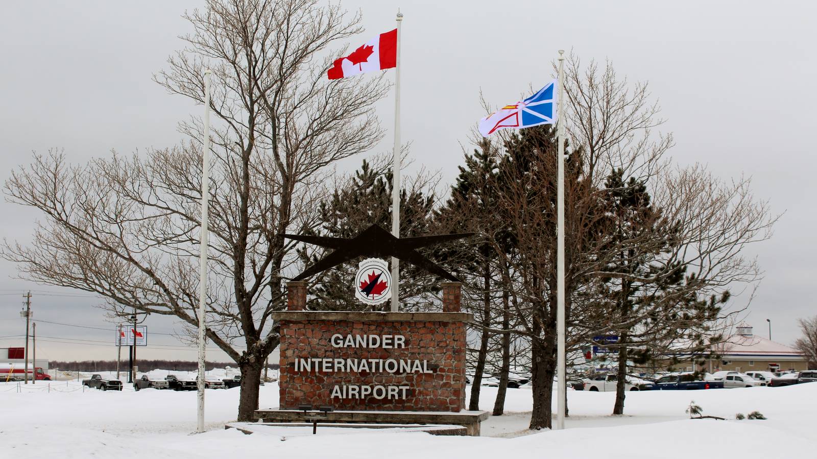 The Story Of Operation Yellow Ribbon