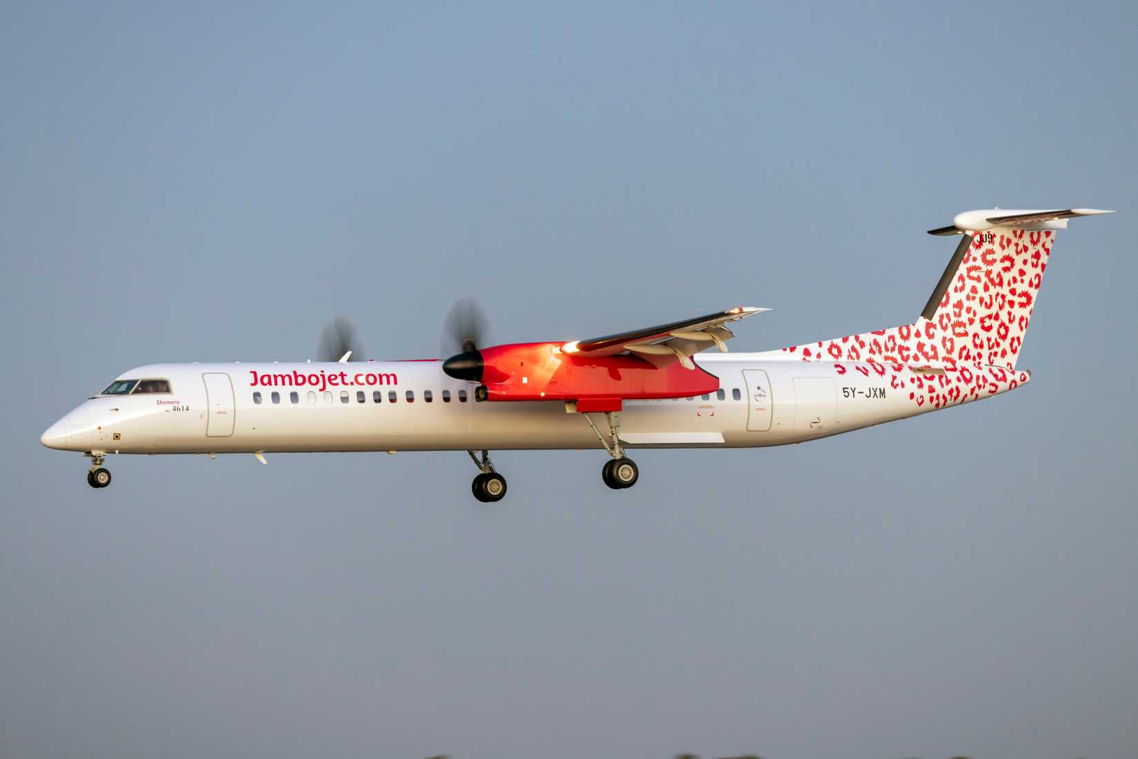 Ouch: Jambojet DHC-8-Q400 Rolls Off & Gets Nose Stuck Between Flagpoles ...