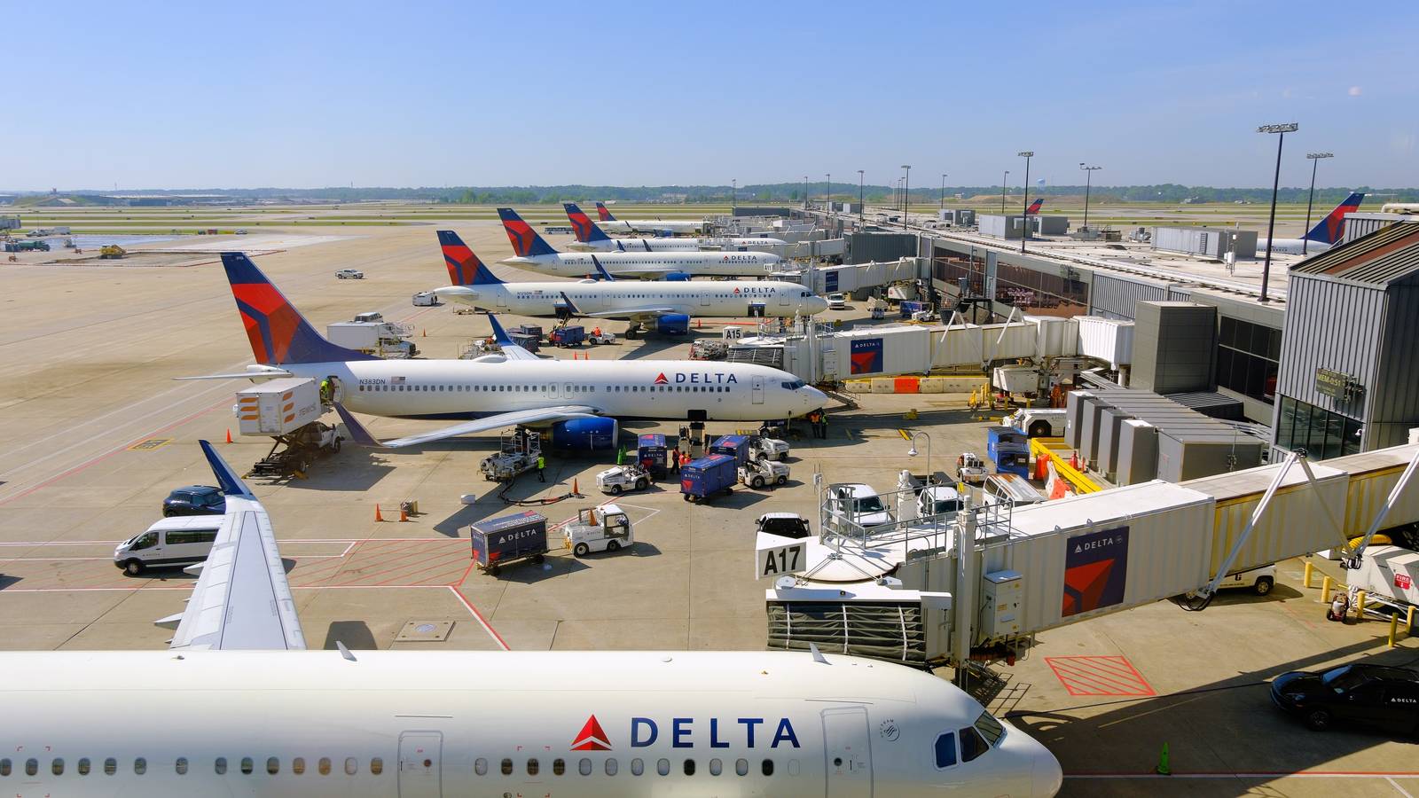 Delta's Checked Bag Guarantee: How It Works And How To Claim The ...