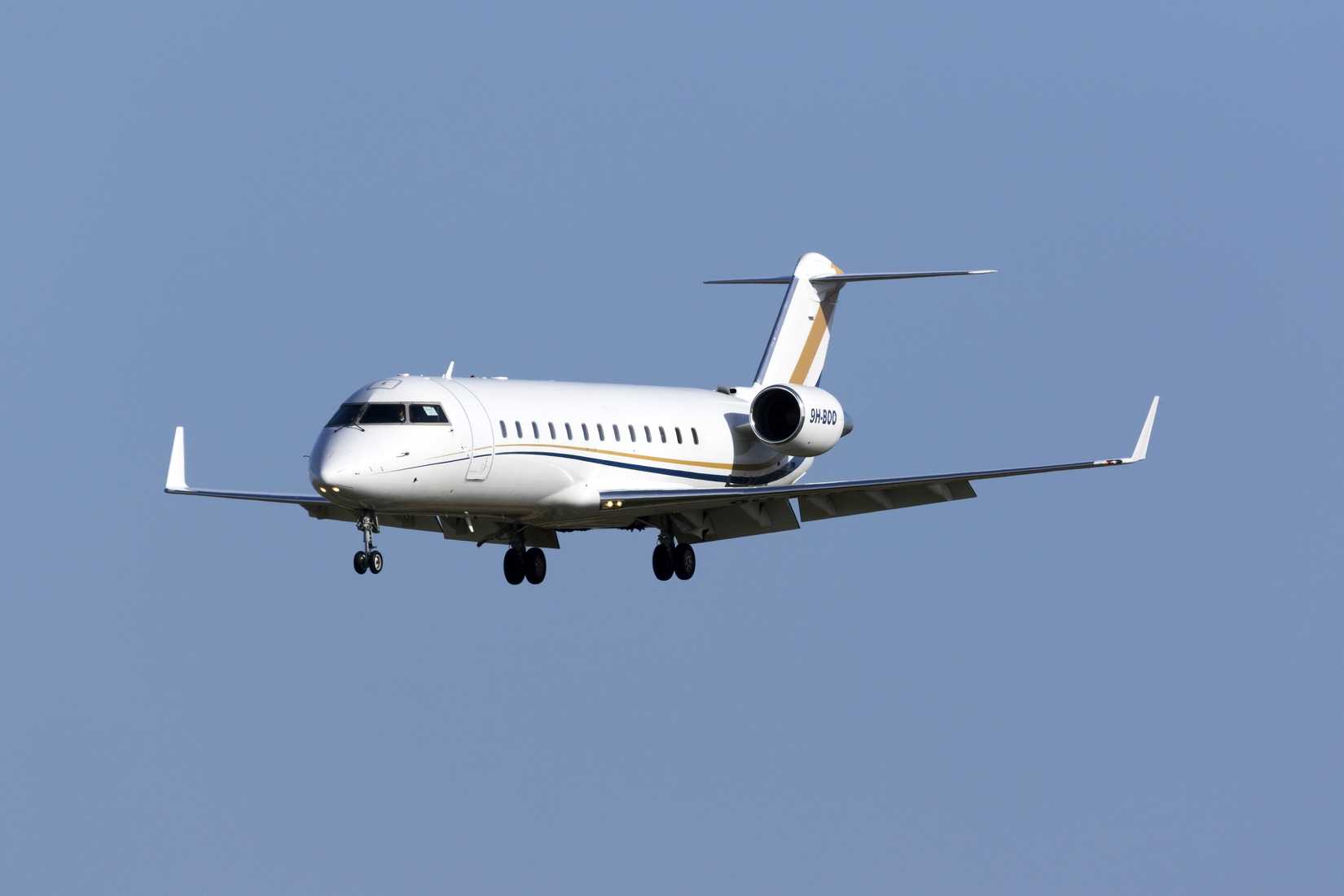 Everything You Need To Know About ONEFlight International