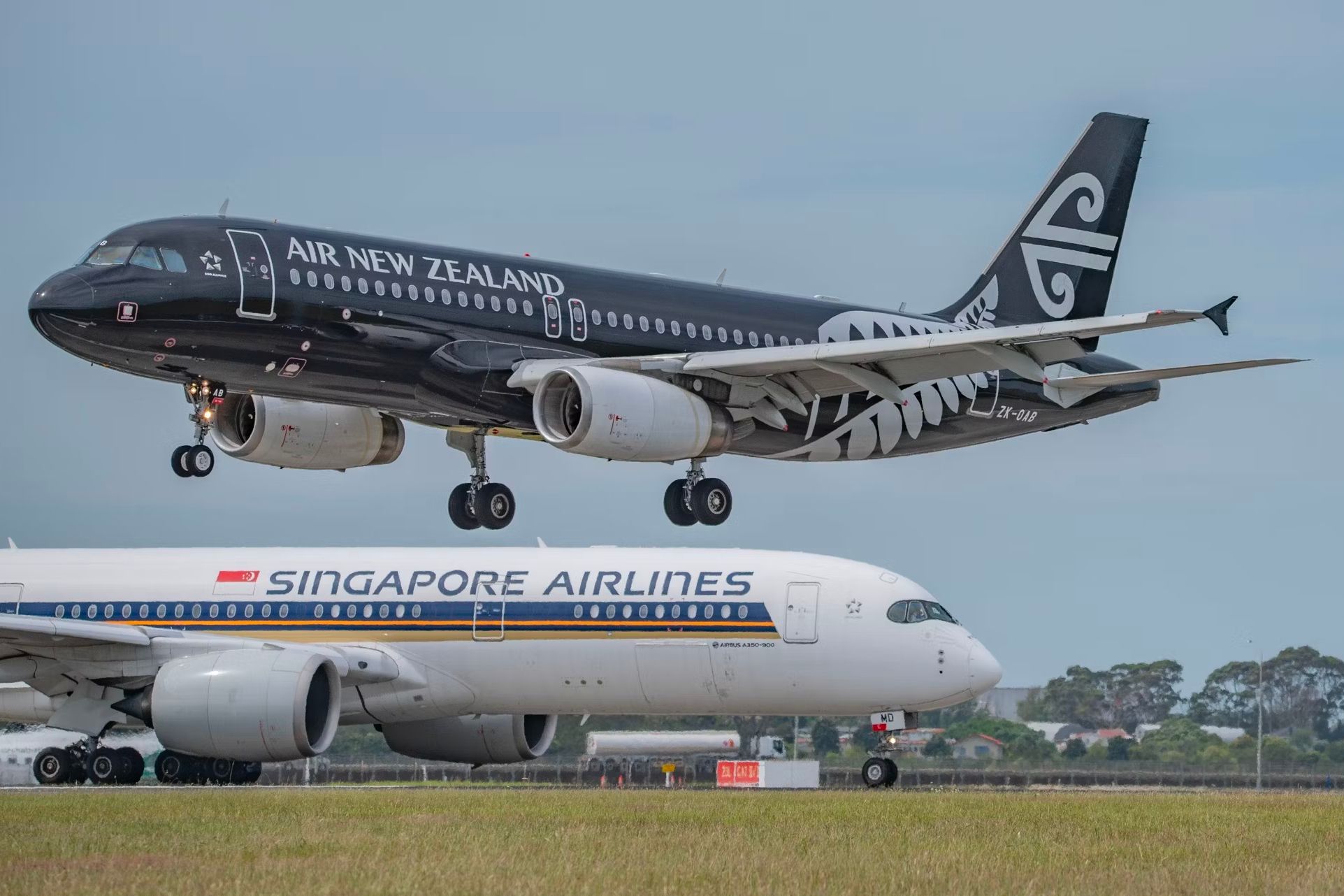 25 Years: Auckland Airport's Long & Impressive Masterplan Explored