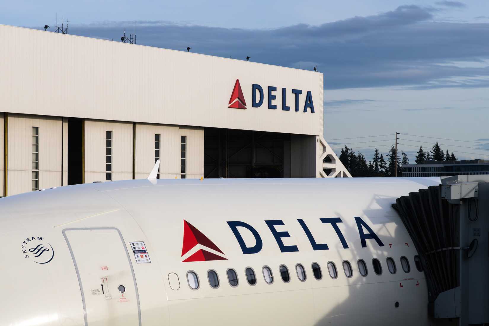 Delta Air Lines' Airbus A330neo Fleet: 5 Things You Should Know