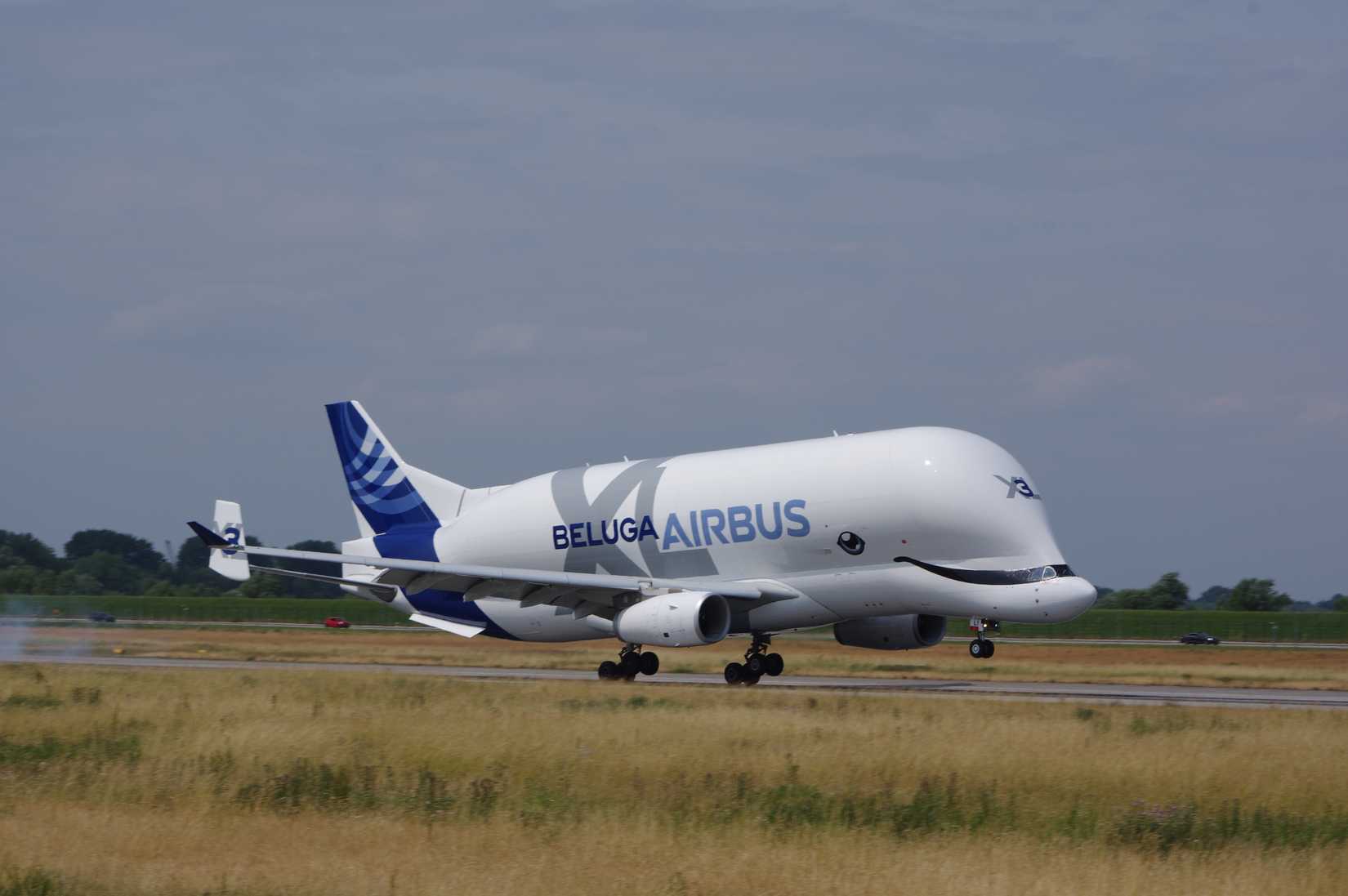 What Would The Passenger Capacity Of The Airbus Beluga XL Be If It Was ...