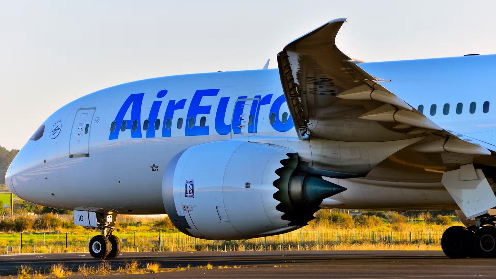 5 Fast Facts About Airplane Wings