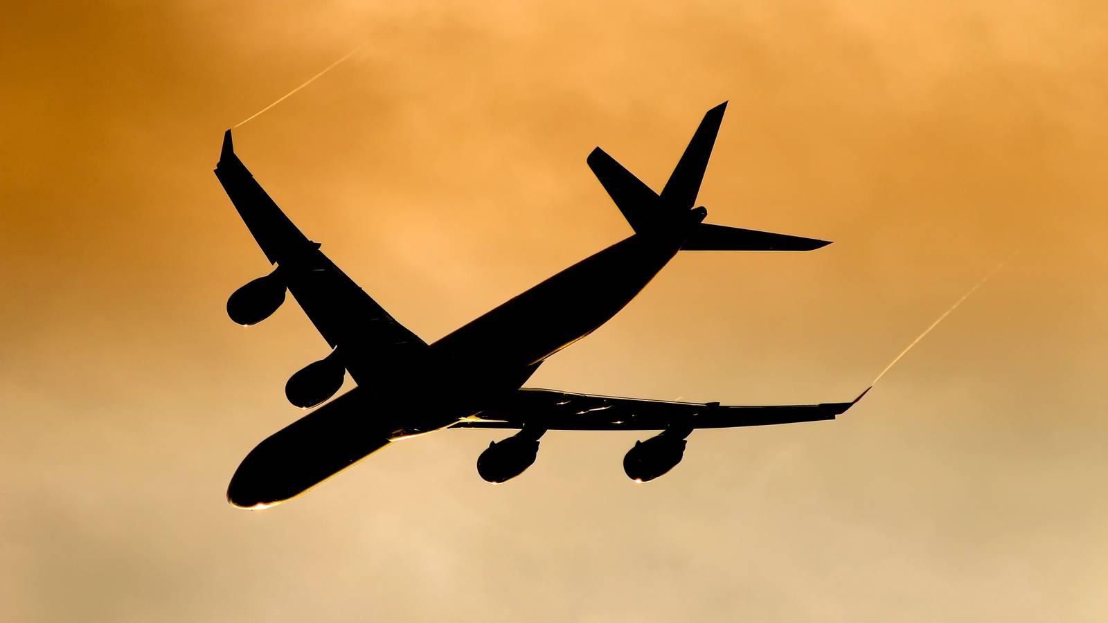 What Was Your Craziest Flight?