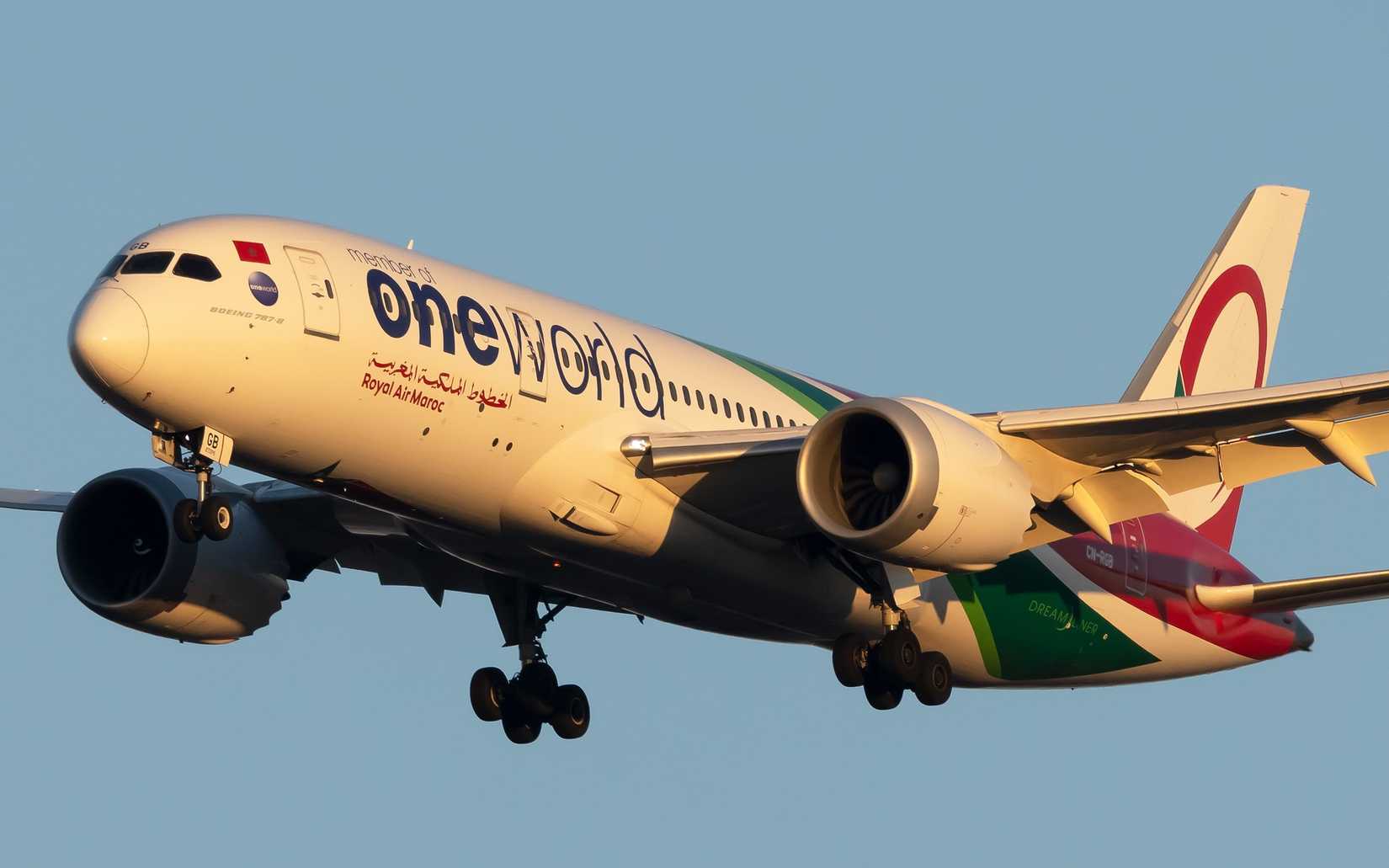 Which Oneworld Alliance Carriers Offer Status Matches For Frequent Flyers?