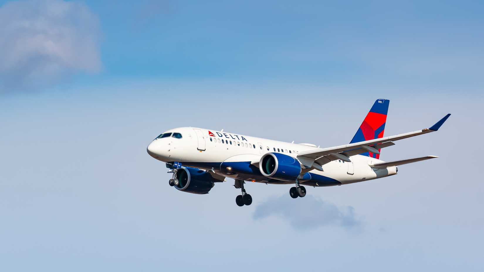 Delta Air Lines Flight Delayed After 2 Pigeons Cause Pandemonium Onboard