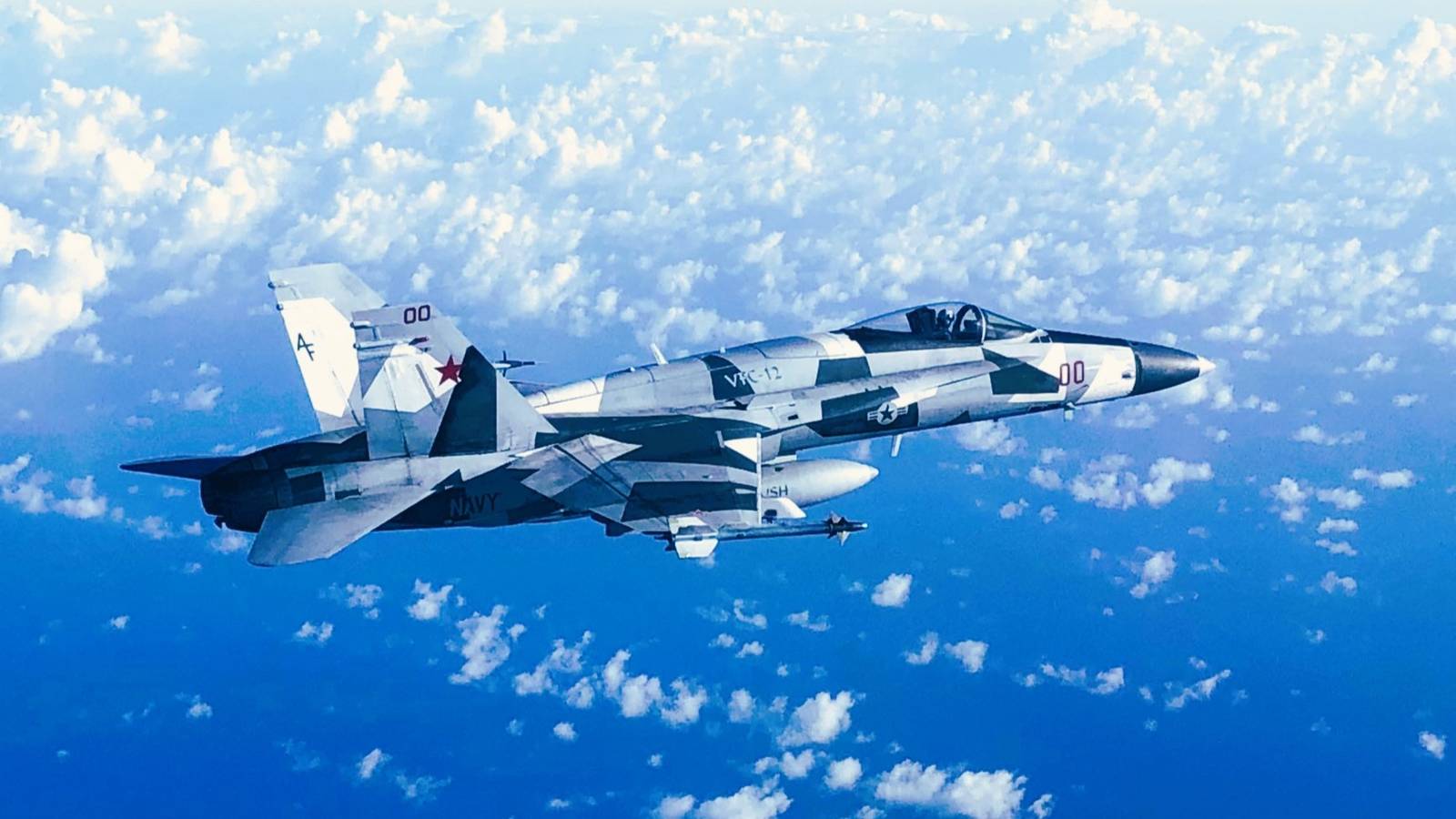 What Are Aggressor Squadrons & Why Are They Important?