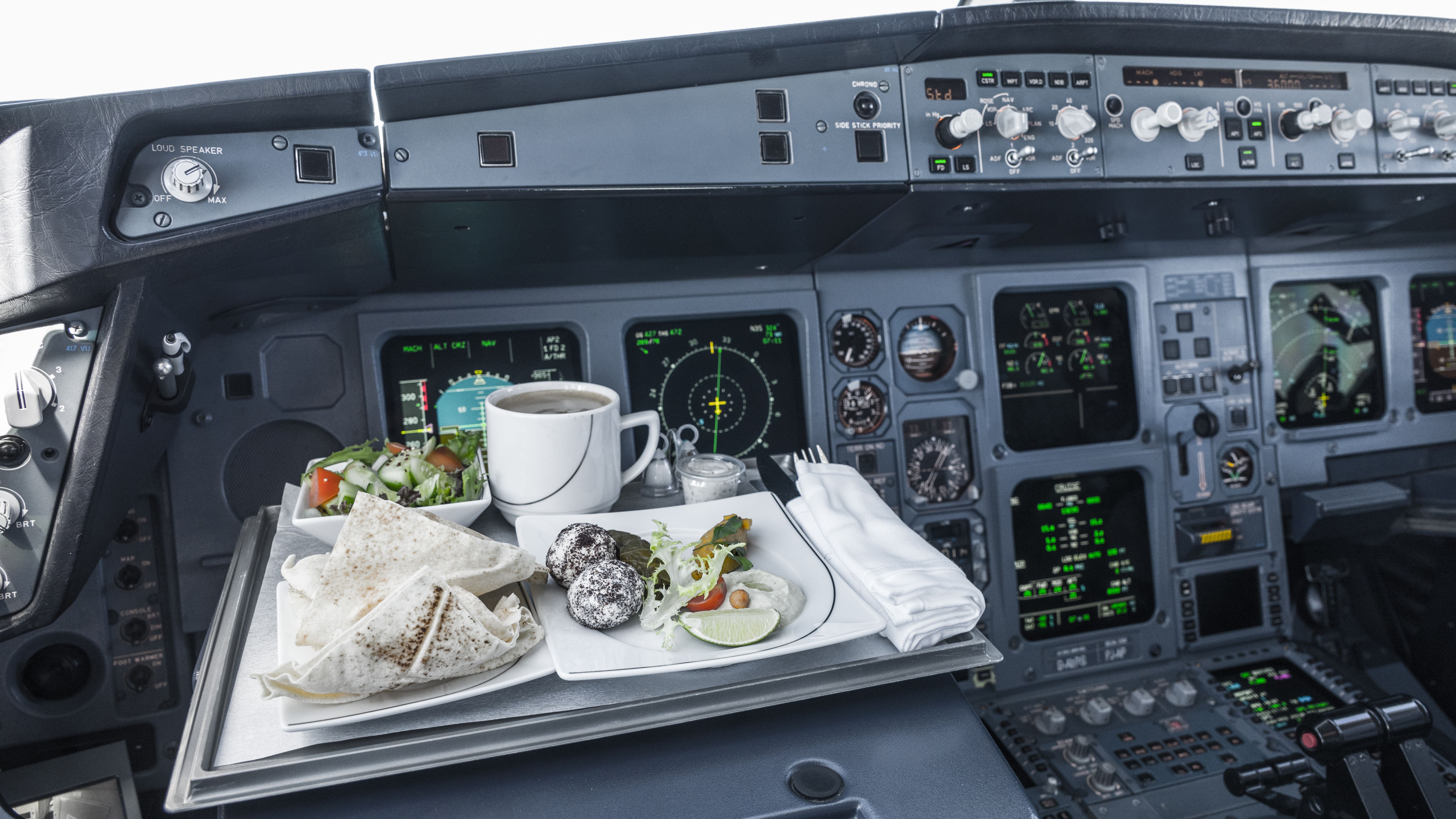 Do Pilots Really Eat Different Meals On A Flight?