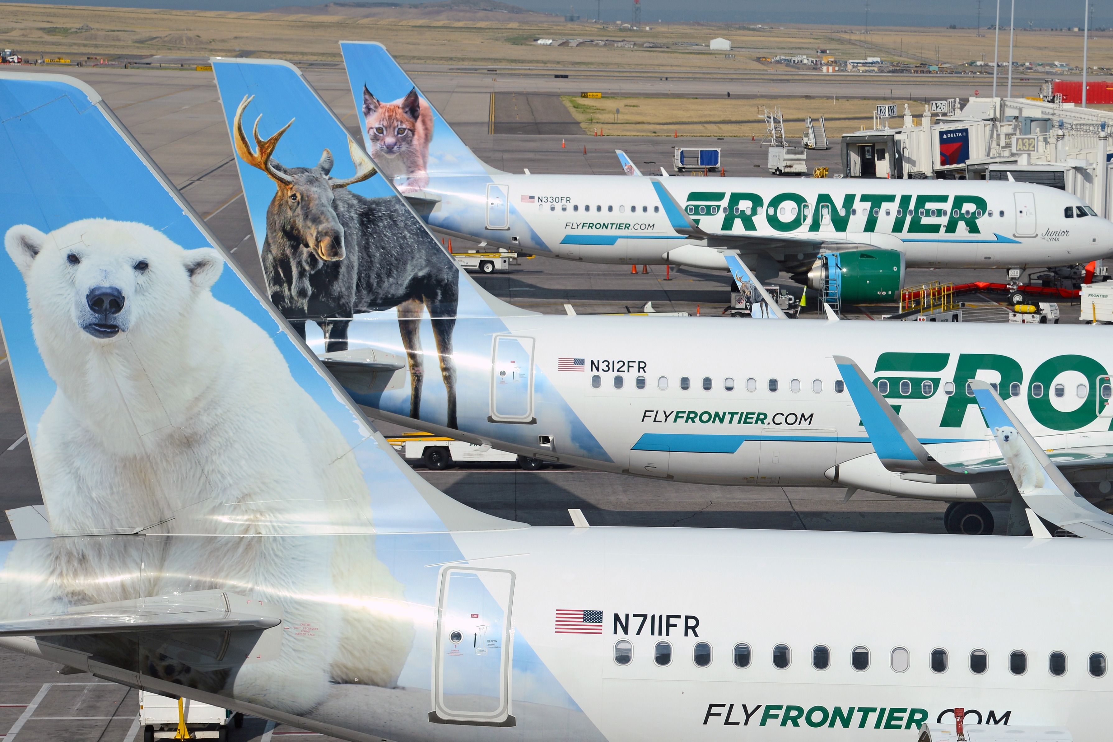 The Frontier Airlines Logo: Its History & Meaning