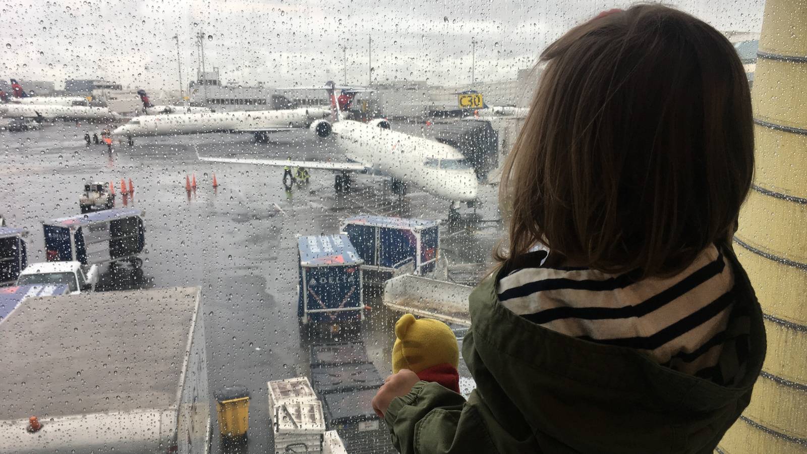 Stuffed Animals As Carry-On Luggage: What Are The Rules?